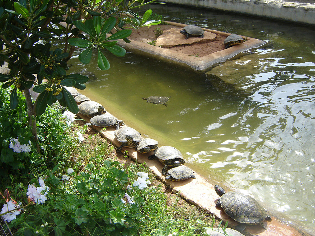 Lloc de Menorca | Menorca