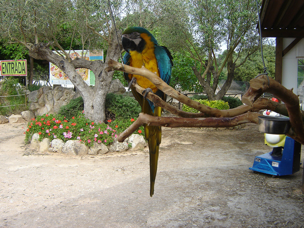 Lloc de Menorca | Menorca