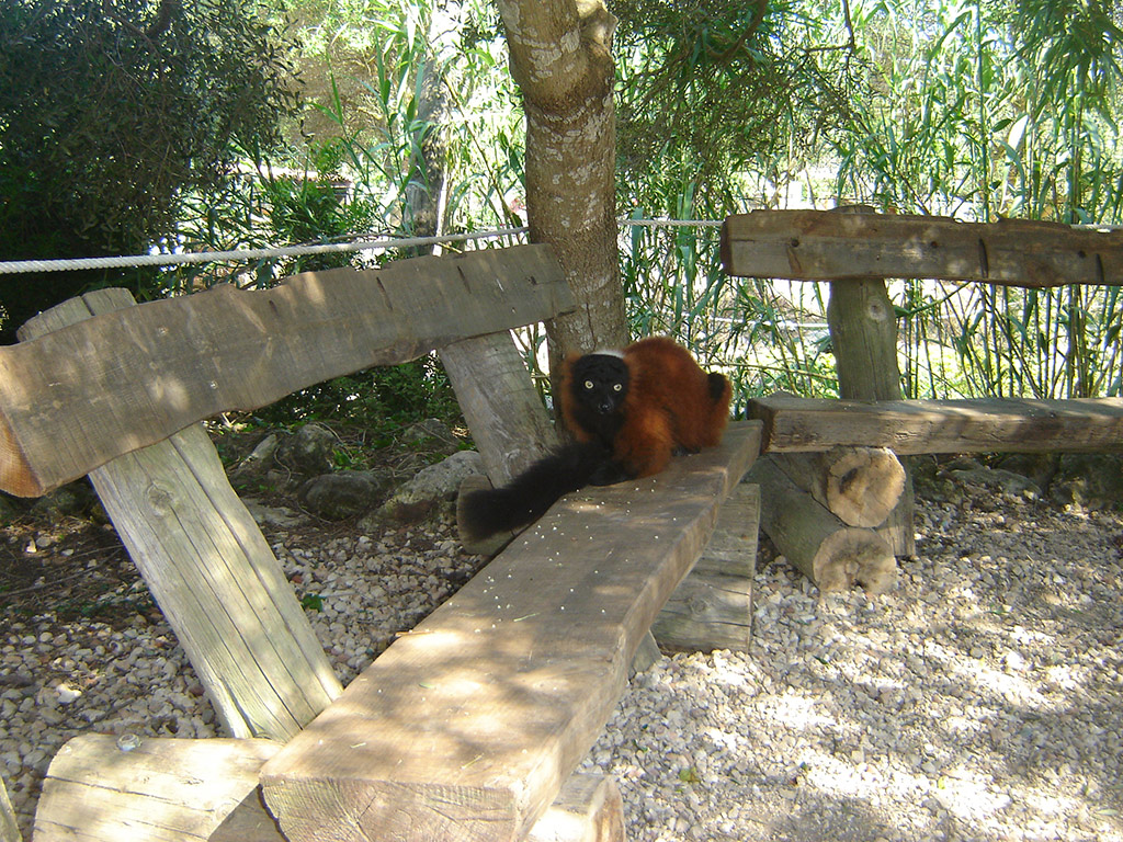 Lloc de Menorca | Menorca