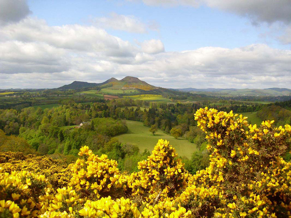Rosslyn Chapel and the Scottish Borders Tour | Theme Park Direct